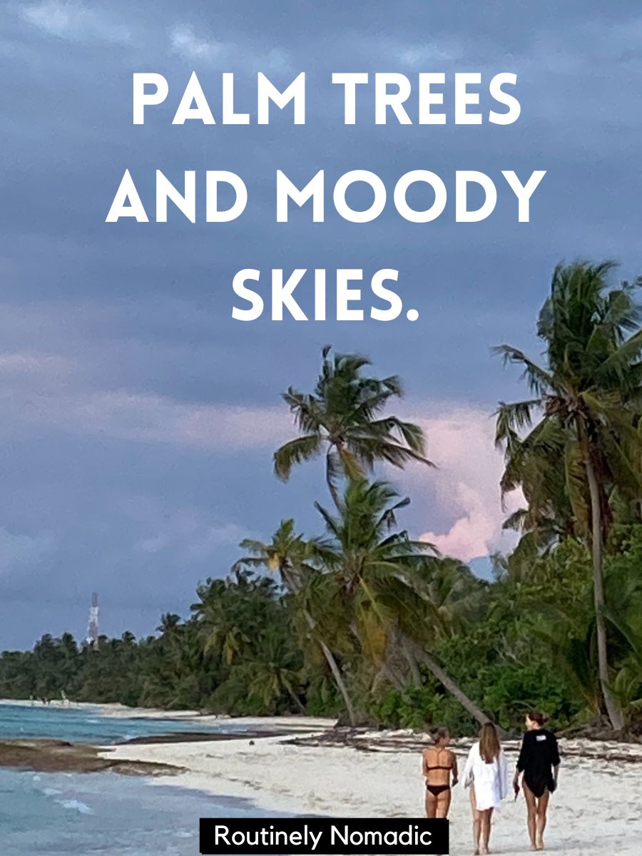 125 Chill Under the Palm Tree Captions for Instagram - Routinely Shares