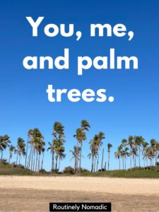 100 Perfect Coconut Captions for Those Coco Days - Routinely Shares