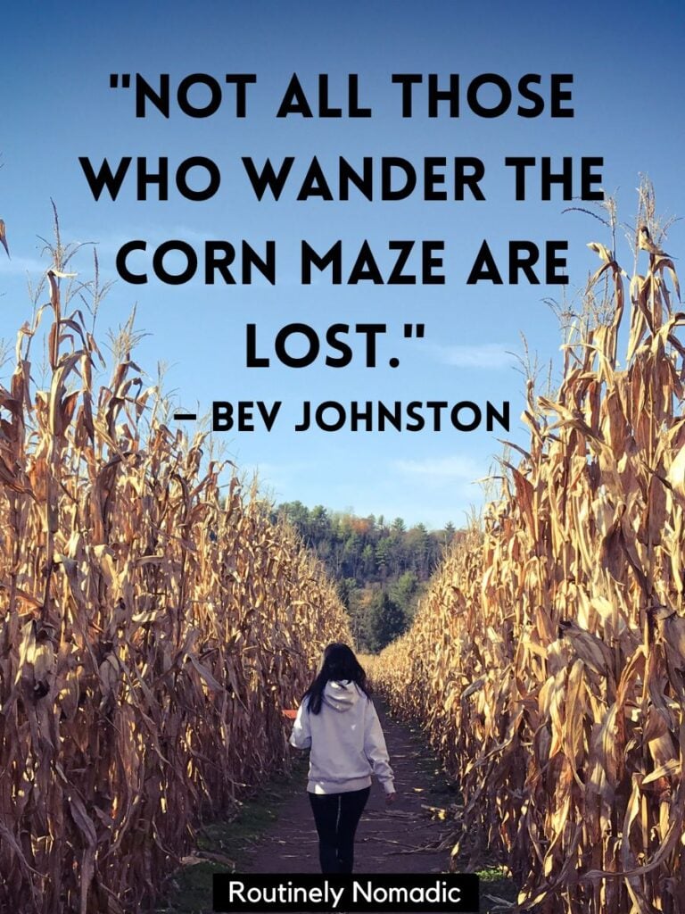 145 Hello November Quotes for When You are Happy to Welcome the Most ...