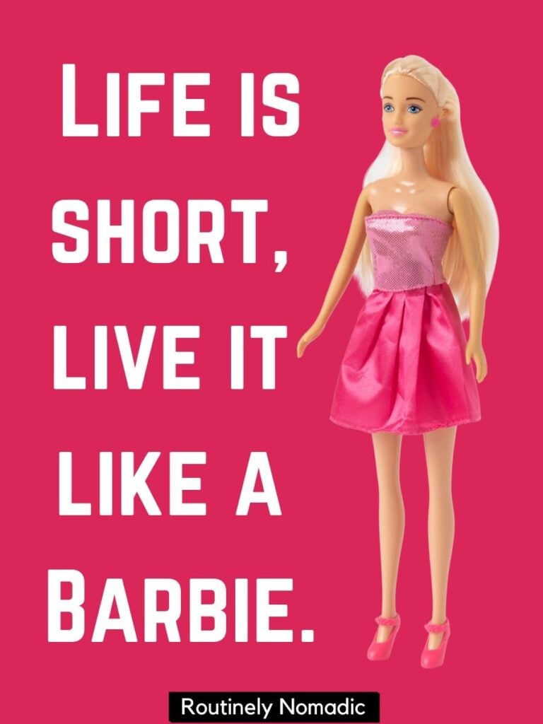 100 Barbie Captions for Your Best Pink Life - Routinely Shares