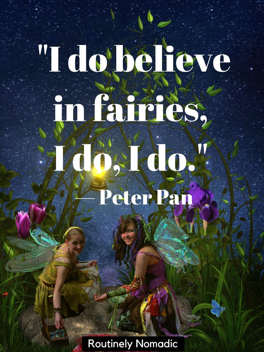 100 Fairy Captions for Those Magical Vibes - Routinely Shares