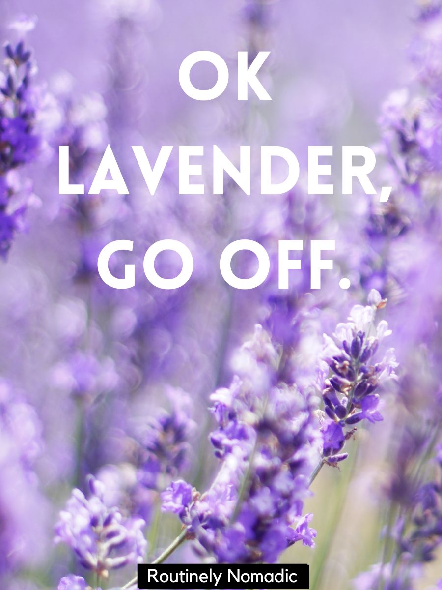100 Short Aesthetic Purple Quotes for that Lavender Haze - Routinely Shares