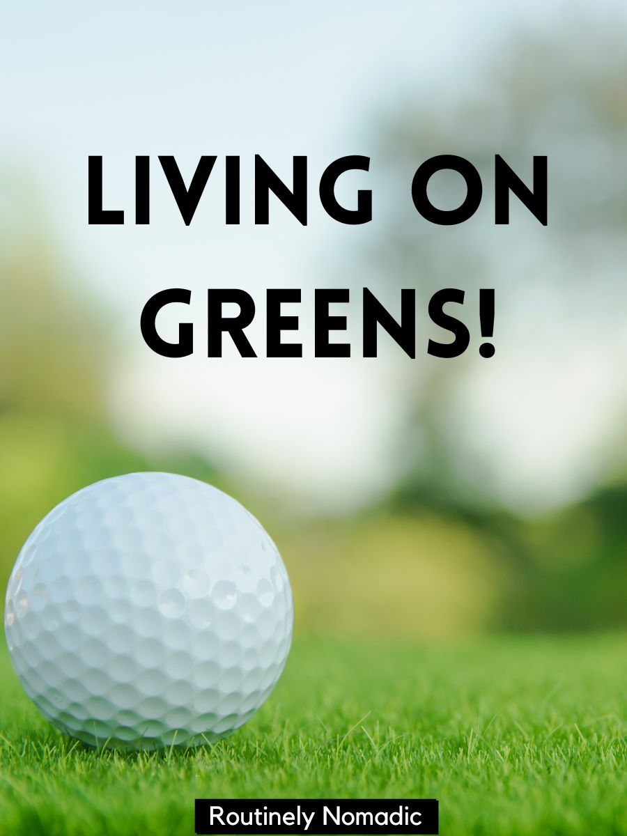 100 Tee-rific Golf Puns and One Liners - Routinely Shares