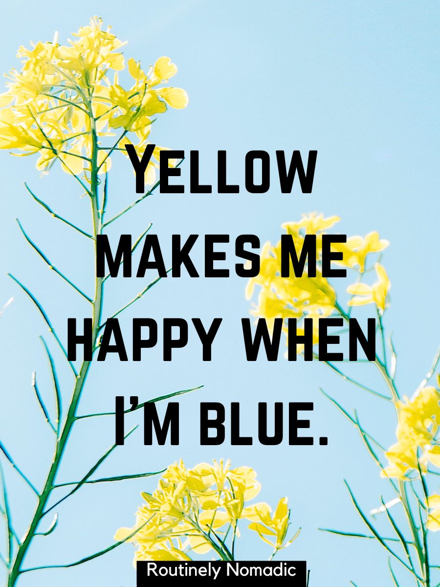 100 Short Aesthetic Yellow Quotes for that Positive Vibe - Routinely Shares