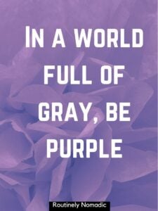 100 Short Aesthetic Purple Quotes for that Lavender Haze - Routinely Shares