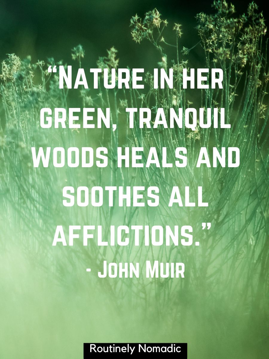 100 Short Aesthetic Green Quotes for all of Life's Green Moments ...