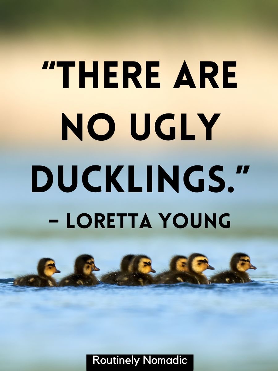 145 Cute and Funny Duck Captions for Instagram - Routinely Shares