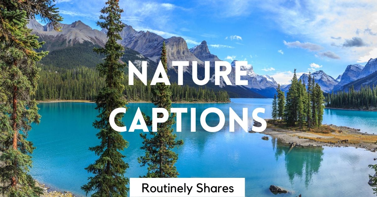 The 120 Best Nature Captions for Instagram to Share the Beauty of the ...