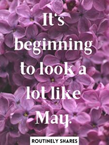 The 160 Best May Captions for Instagram to Share the Spring Feels ...