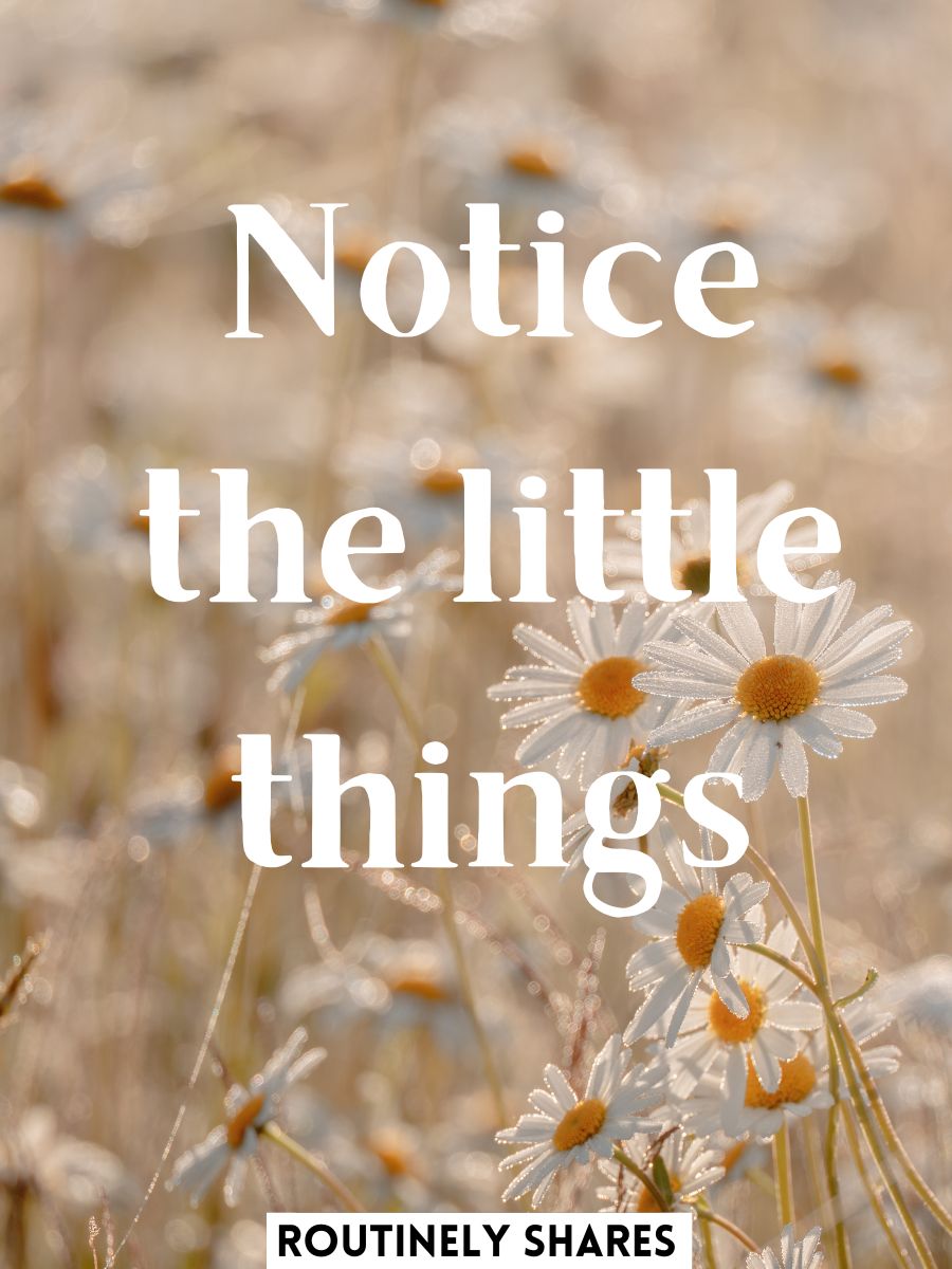 The 250 Best Aesthetic Captions for Instagram - Routinely Shares