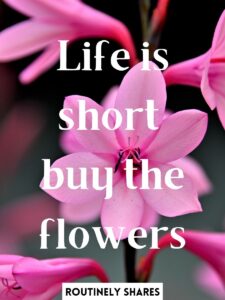 The 135 Best Flower Captions for Instagram for Those Beautiful Blooms ...