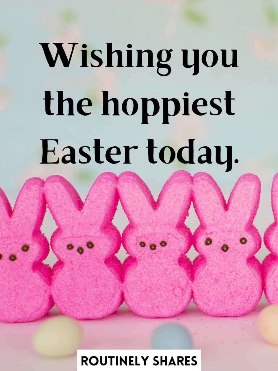 160 Cute Short Happy Easter Quotes and Sayings - Routinely Shares