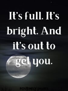 The 165 Best Moon Captions for Instagram to Light Up the Sky ...