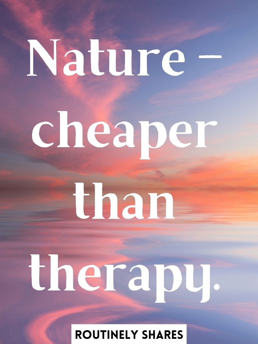 The 120 Best Nature Captions for Instagram to Share the Beauty of the ...