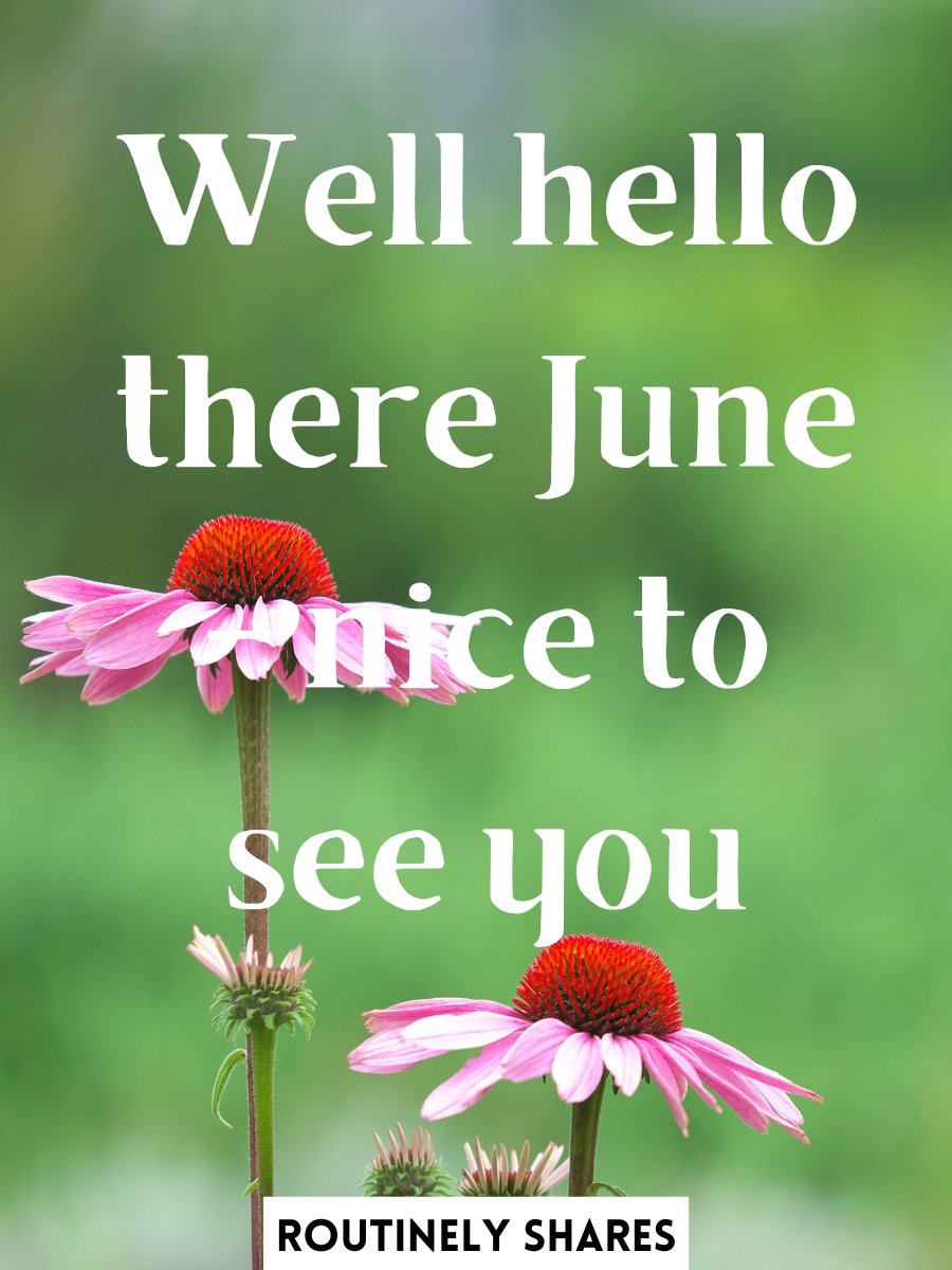165 Hello June Captions to Welcome Summer - Routinely Shares