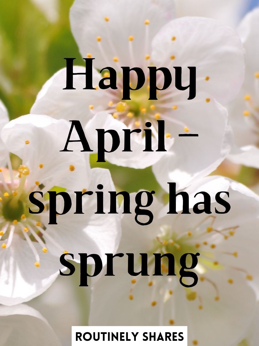 220 April Letter Board Quotes and Sayings for When Spring has Sprung ...