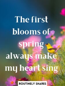 Cute and Happy Spring Sayings to Welcome the Blooming Flowers ...