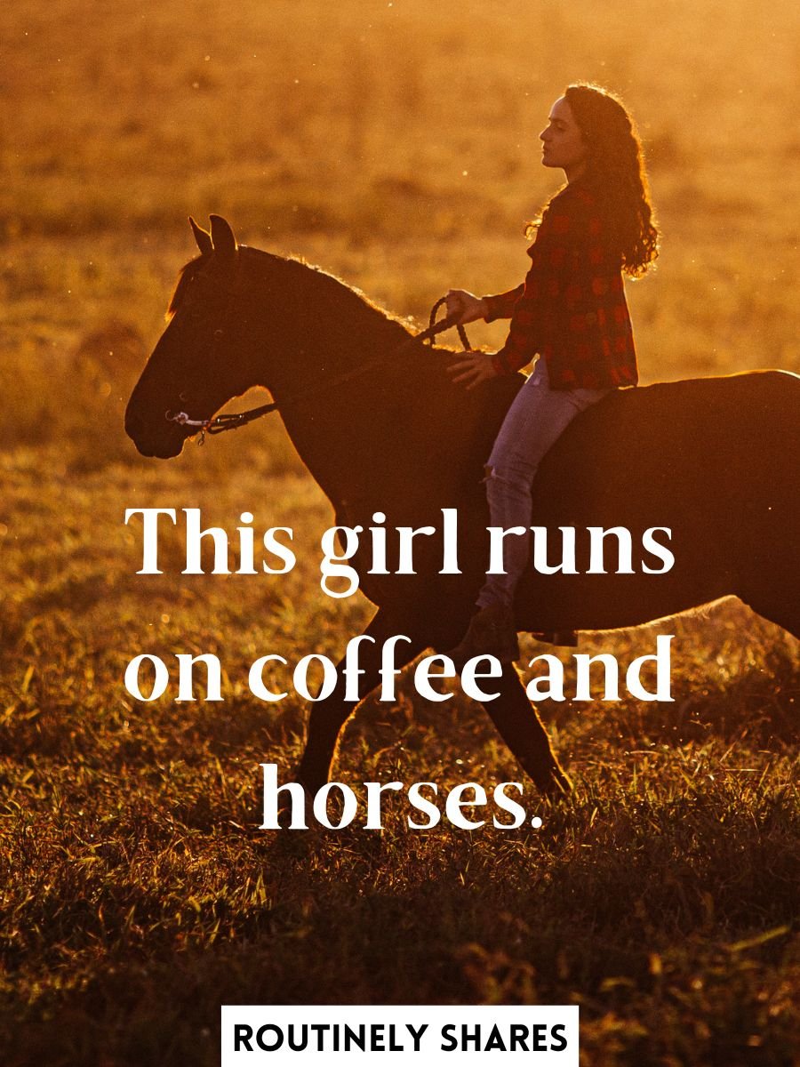 Giddyup With the 140 Best Horse Captions for Instagram - Routinely Shares