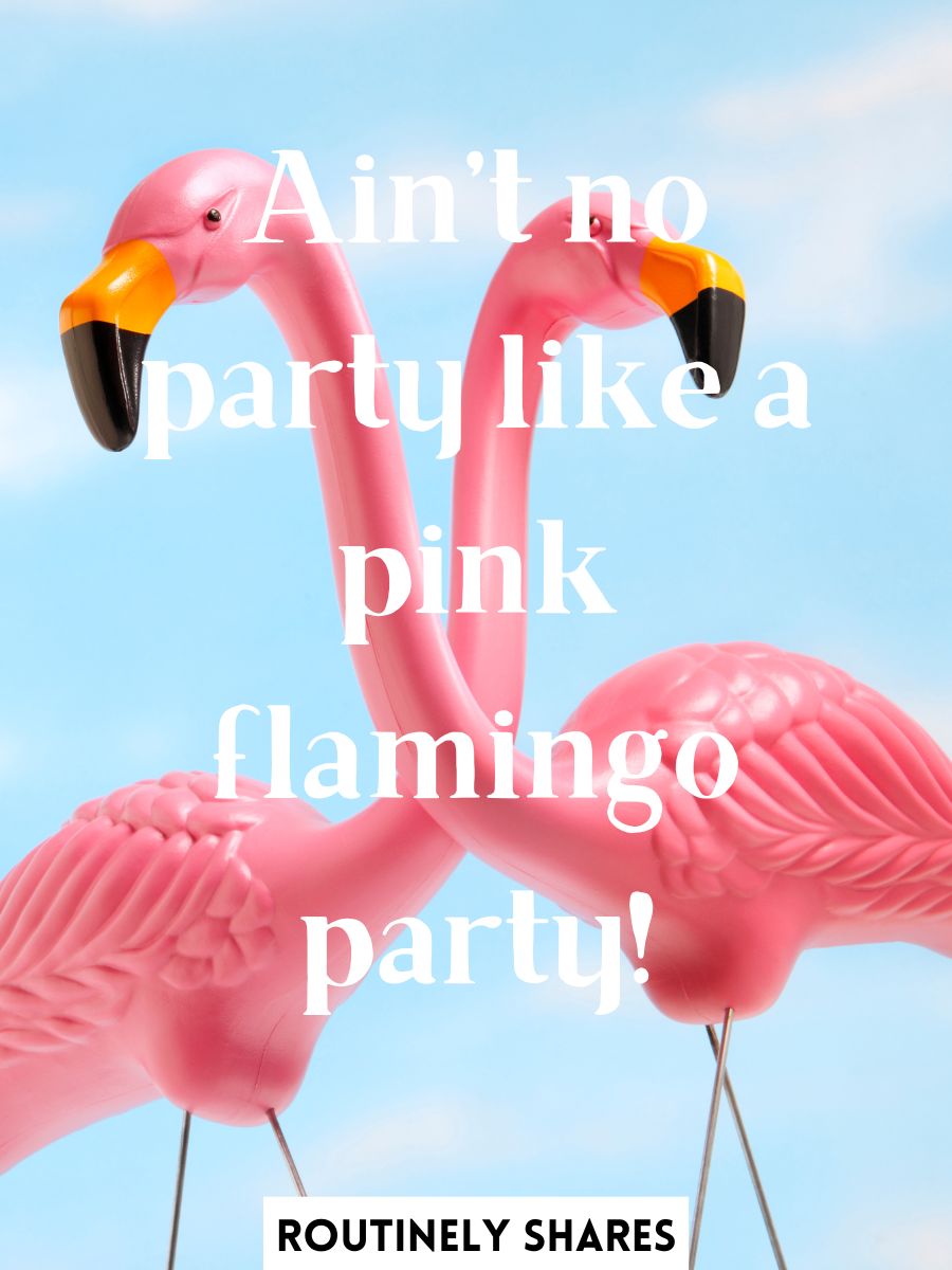 The 200 Best Flamingo Captions for Instagram to Share Your Vibe ...