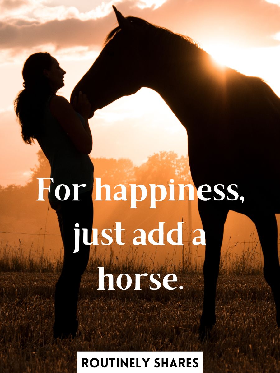 Giddyup With the 140 Best Horse Captions for Instagram - Routinely Shares
