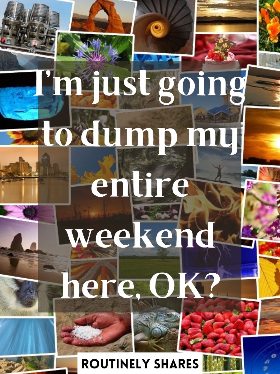 The 180 Best Photo Dump Captions for Instagram for Getting Caught Up ...