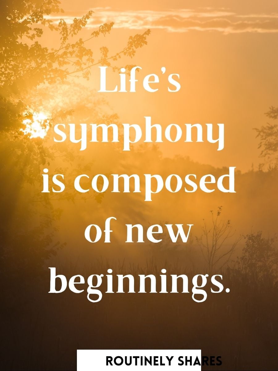 The 160 Best New Beginnings Captions for Instagram to Share a Fresh ...