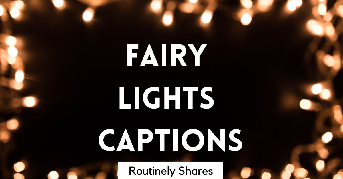 The 145 Best Fairy Lights Captions for Instagram to Bring the Dazzle ...