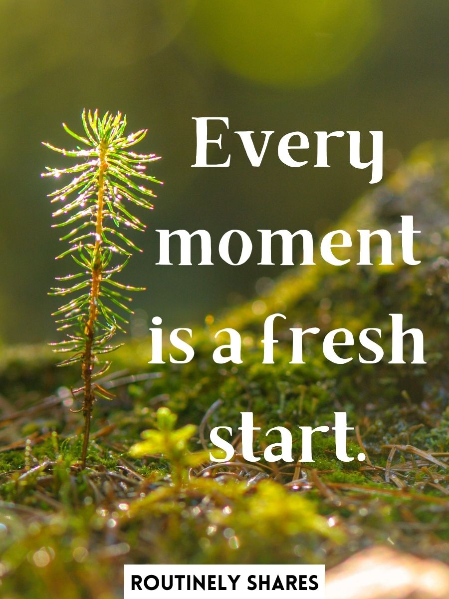 The 160 Best New Beginnings Captions for Instagram to Share a Fresh ...