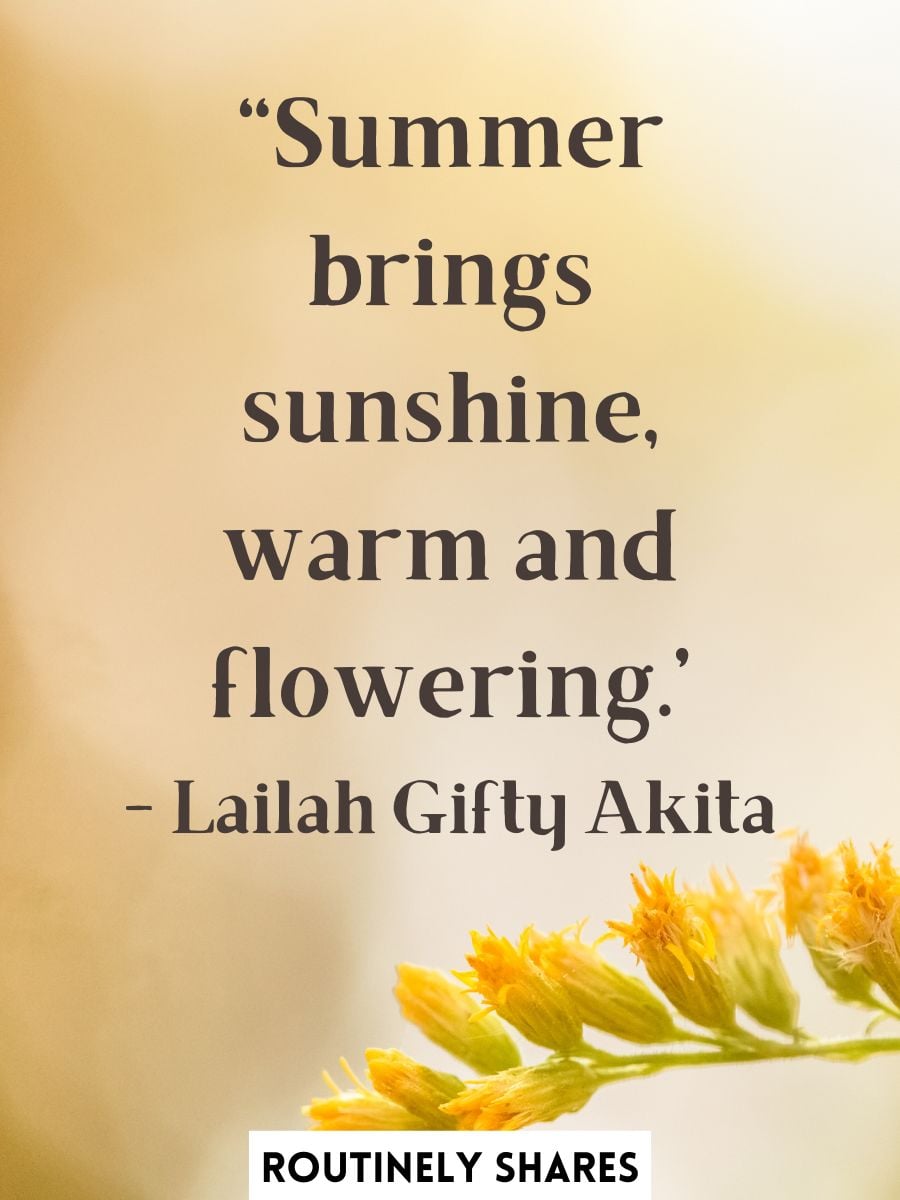 Short Summer Letter Board Quotes, Ideas, and Sayings for Those ...