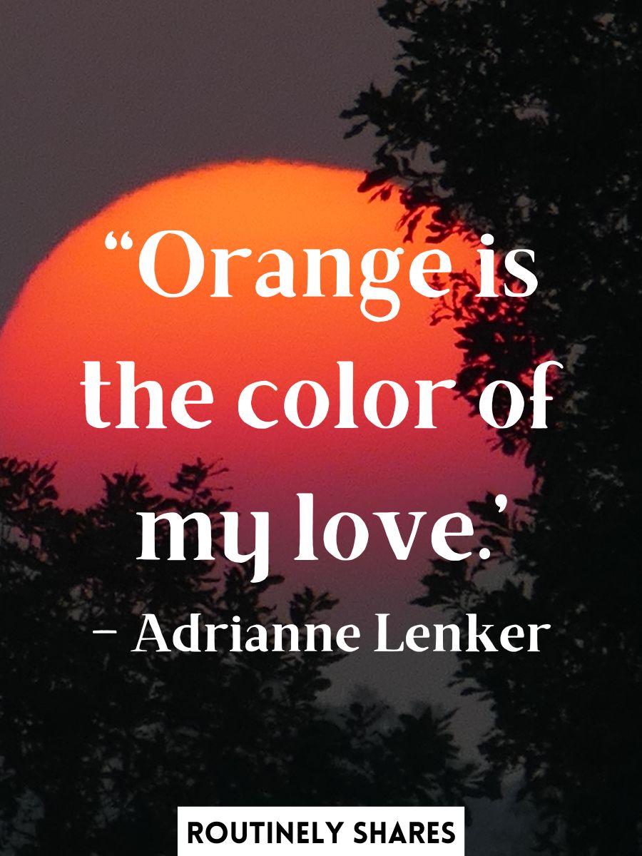 100 Best Orange Captions for Instagram for the Happiest Color ...