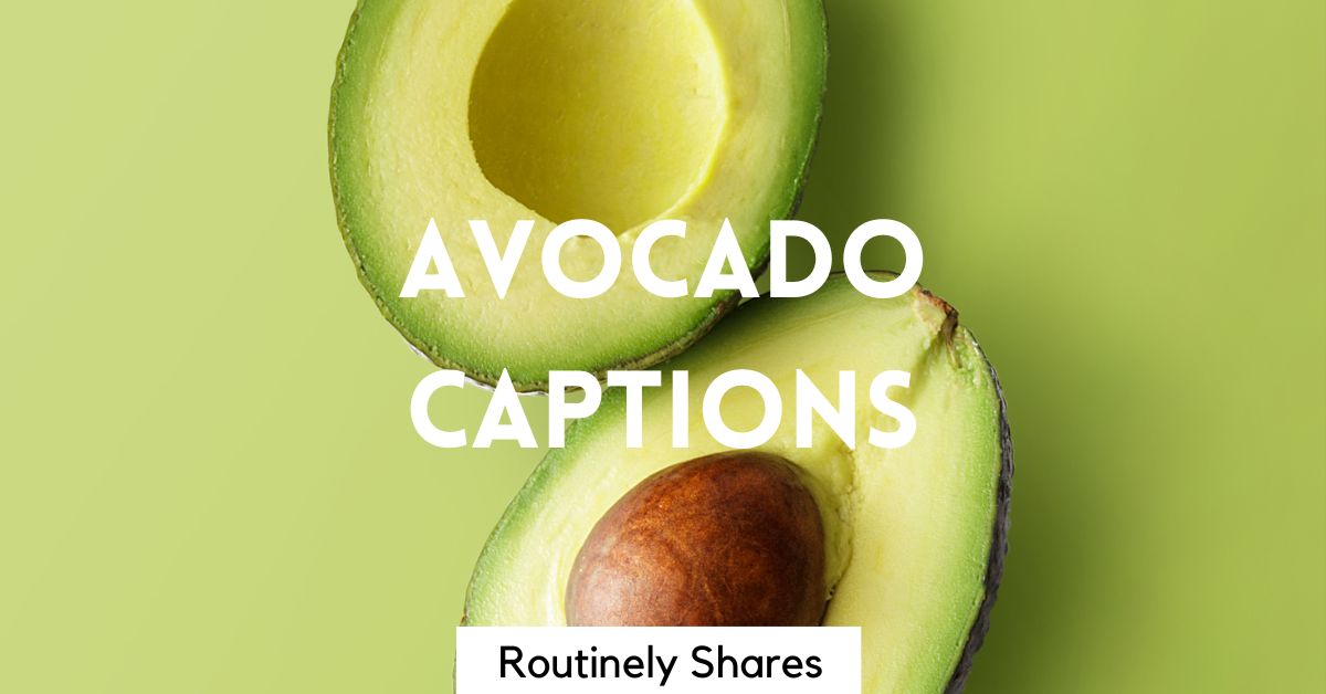 The 140 Best Avocado Captions for Instagram to Green Things Up ...