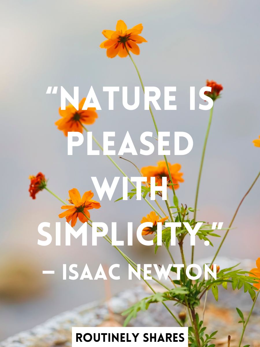 The 155 Best Short Nature Quotes And Sayings To Describe Nature s