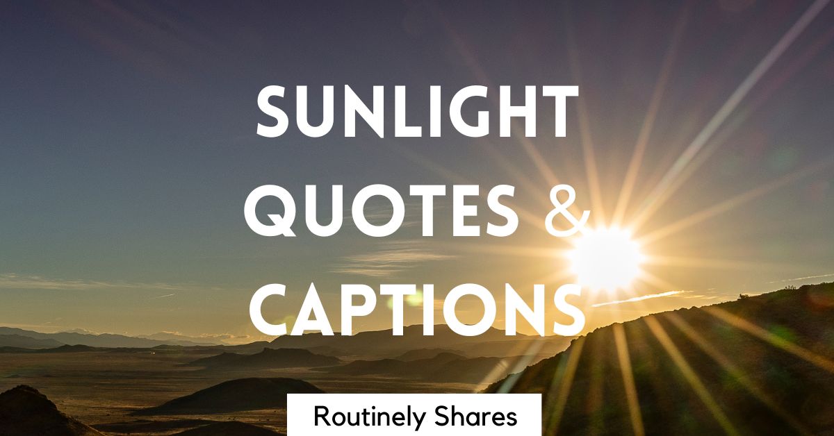 100 Short Sunlight Quotes and Captions for that Bright Sunshine-y Vibe ...