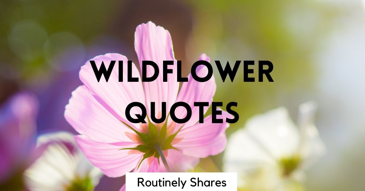 100 Perfect Wildflower Quotes, Poems and Captions - Routinely Shares
