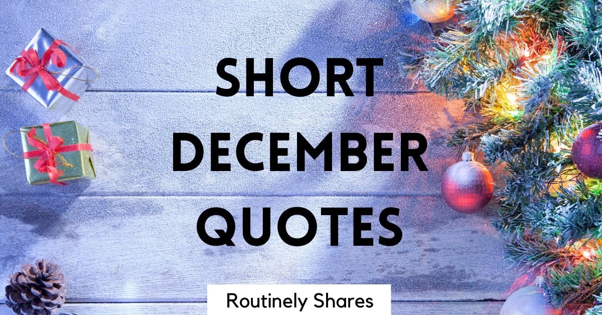 125 Short December Quotes for Instagram to Welcome that Winter ...