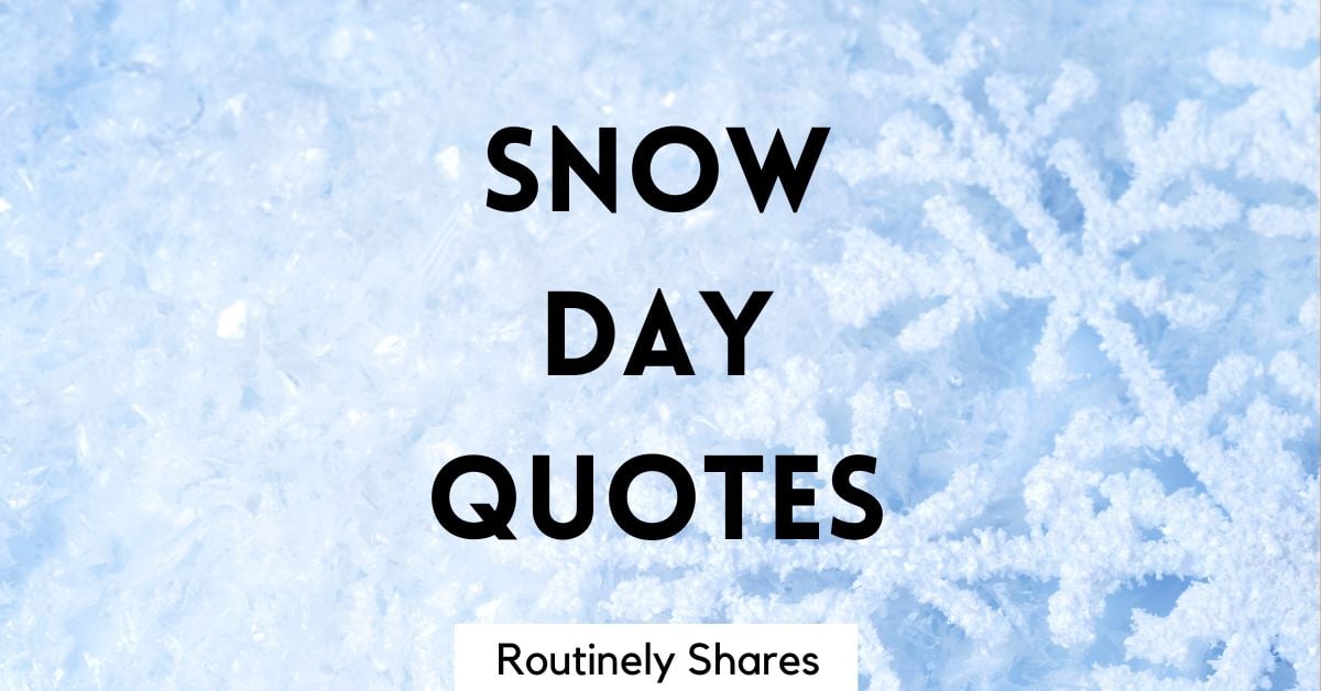 100 Happy Snow Day Quotes and Captions - Routinely Shares