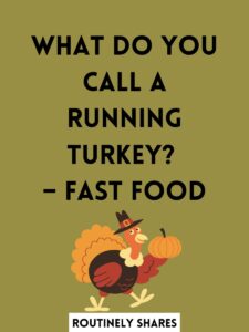 225 Funny Happy Thanksgiving Puns and Jokes - Routinely Shares