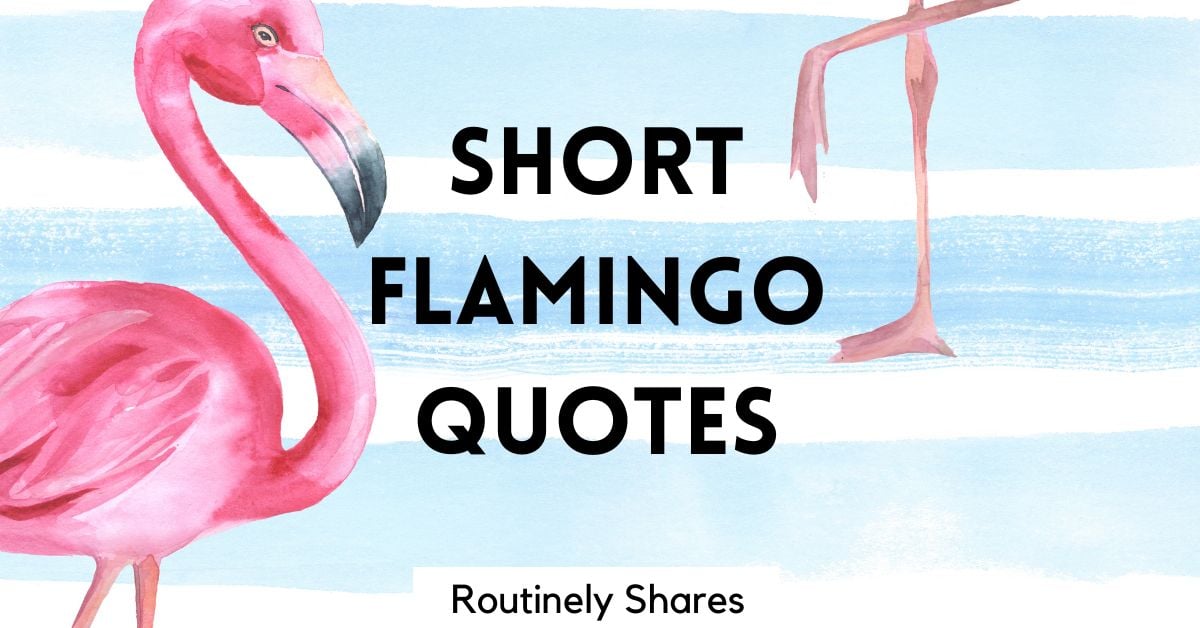 175 Short Flamingo Quotes for that Pink Inspiration Vibe - Routinely Shares