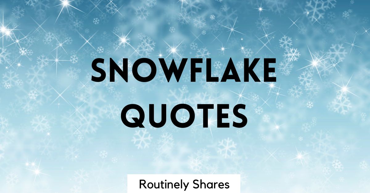 110 Short and Inspirational Snowflake Quotes for that Unique Aeshetic ...