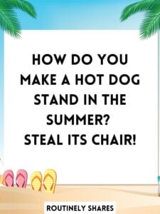 The 260 Best Summer Puns and Jokes for a Sunny Chuckle - Routinely Shares