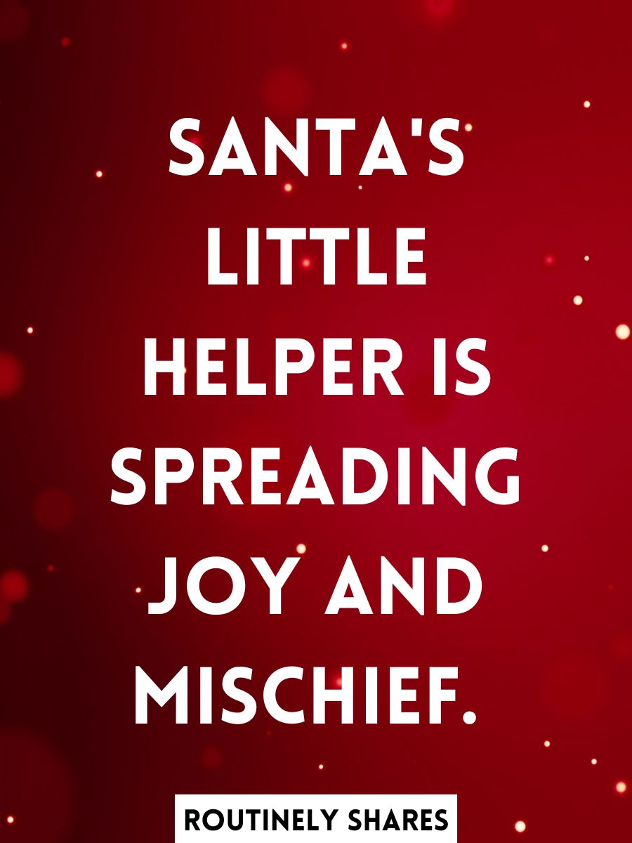 The 165 Best Elf Quotes and Captions from Santa’s Christmas Workshop ...