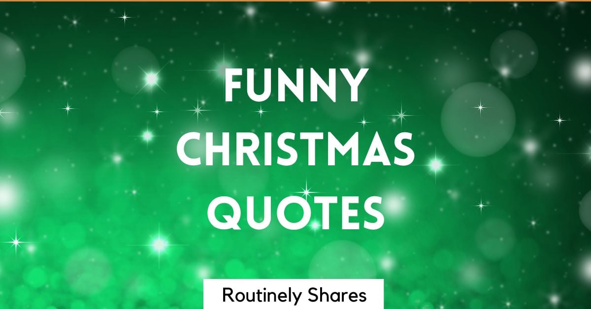 145 Funny Christmas Quotes and Sayings for Those Hilarious Festive ...