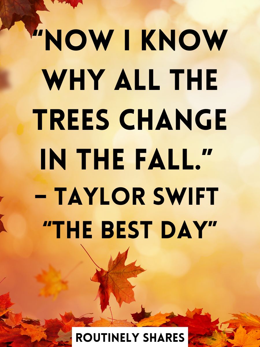 Combine the Autumn Season With the Song With the 165 Best Taylor Swift ...