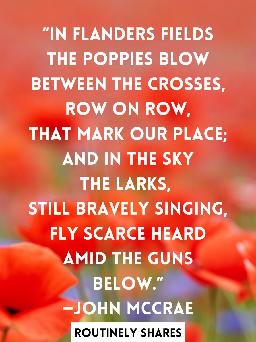 Show Your Appreciation with the Best Remembrance Day Quotes, Poems and ...