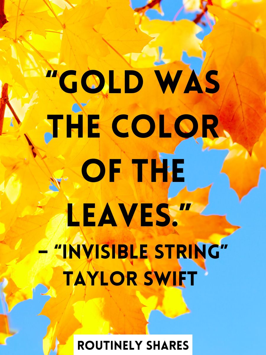 Combine the Autumn Season With the Song With the 165 Best Taylor Swift ...