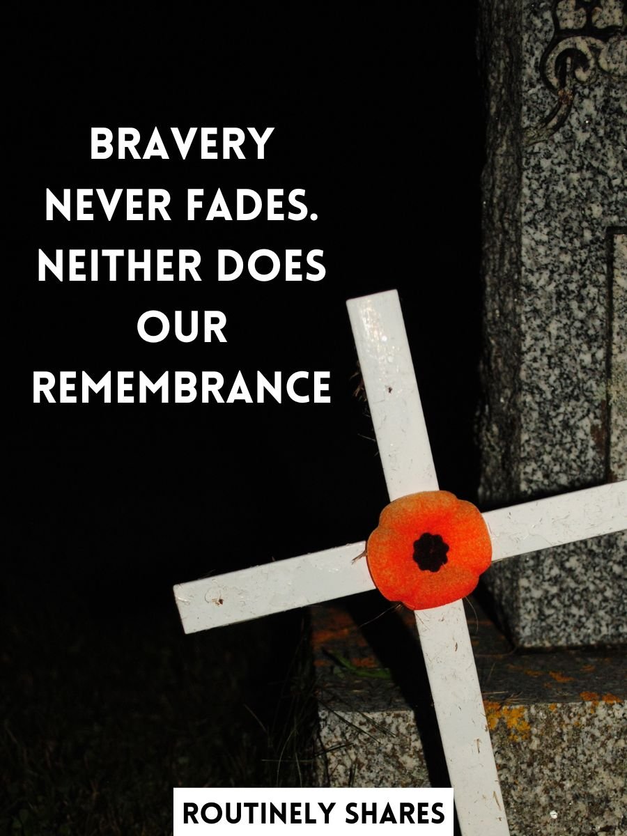 Show Your Appreciation with the Best Remembrance Day Quotes, Poems and ...