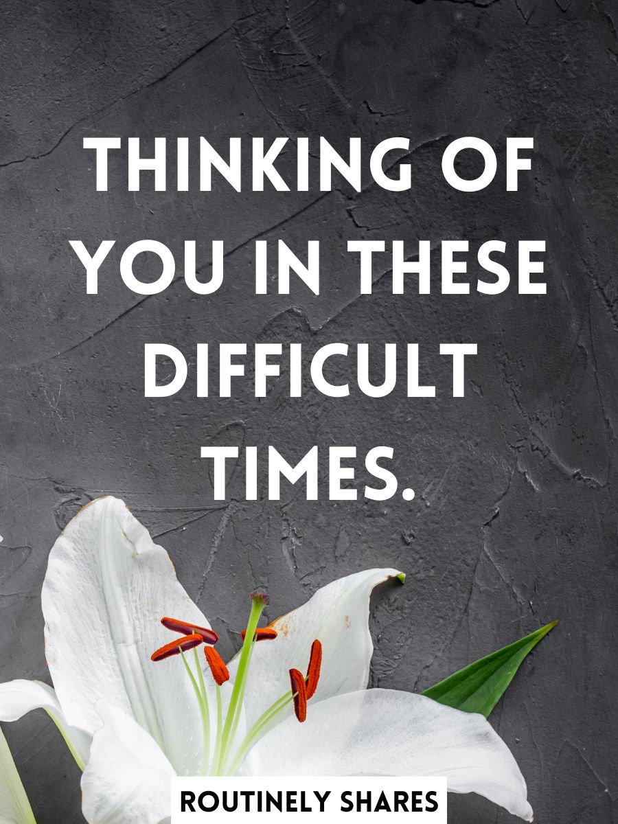 130 Heartfelt Short Condolence Messages to Show Your Sympathy for Their ...