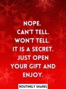 The 170 Best Secret Santa Messages and Captions - Routinely Shares