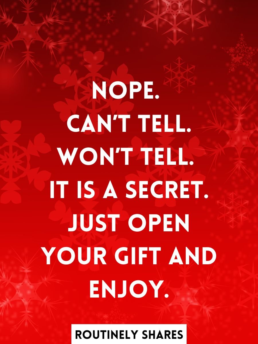 The 170 Best Secret Santa Messages and Captions - Routinely Shares