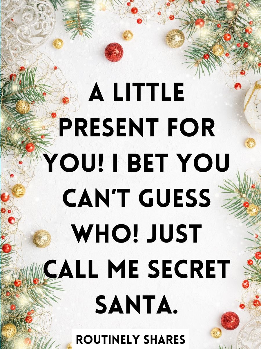 The 170 Best Secret Santa Messages and Captions - Routinely Shares